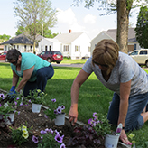 Annual Garden of Life Campaign Going On Now